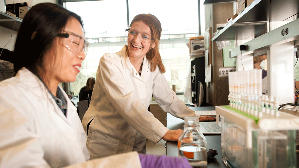 What is food loss and food waste? | Food Loss and Waste Collaborative